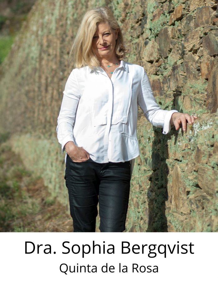 Sophia Bergqvist - Quinta de la Rosa | Entrevista - HMW